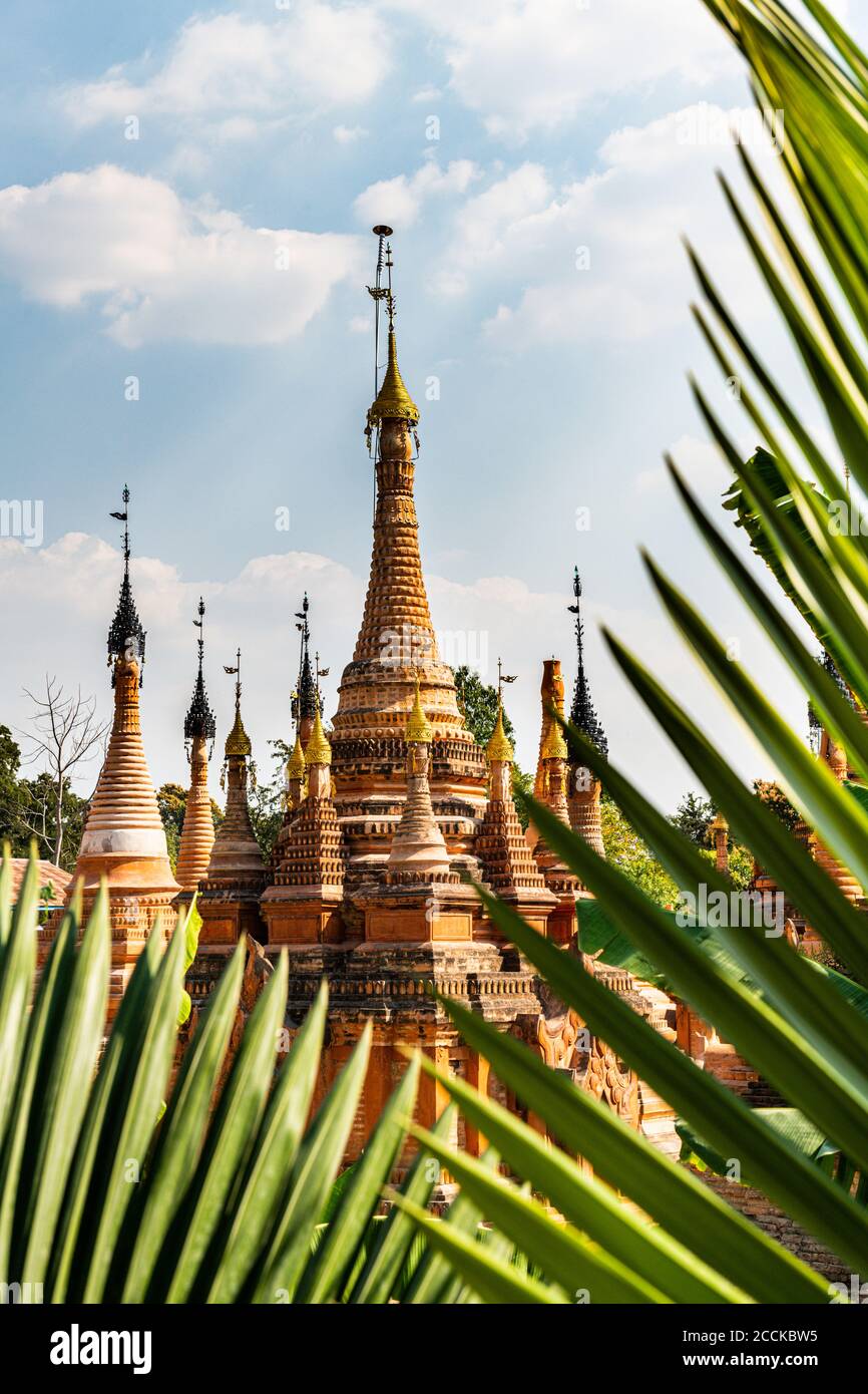 Myanmar, Shan State, Samkar, Palm tree leaves against Taw Mwe Khaung ...