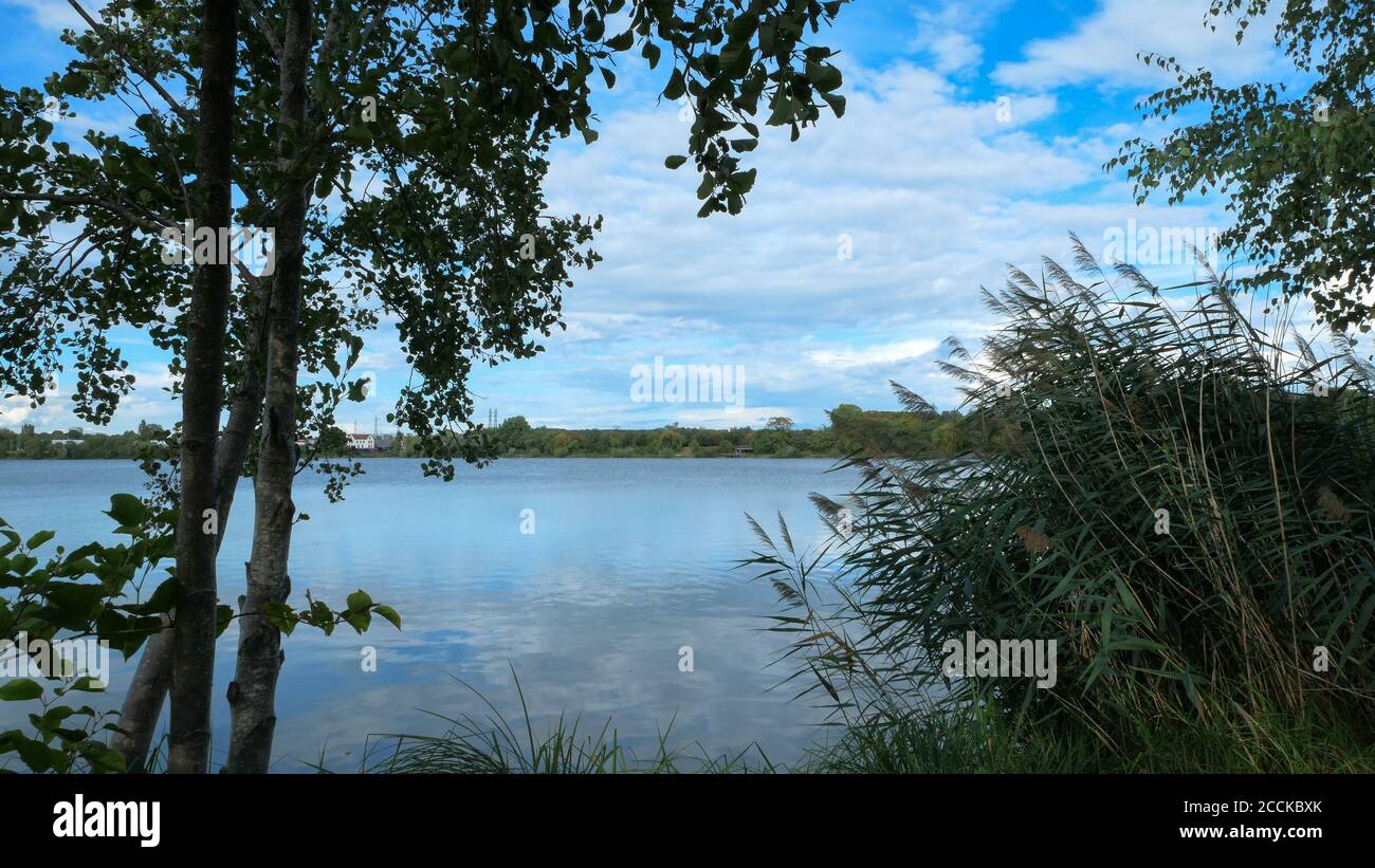 Summer landscape at the water's edge. View of a sunny lake with ...