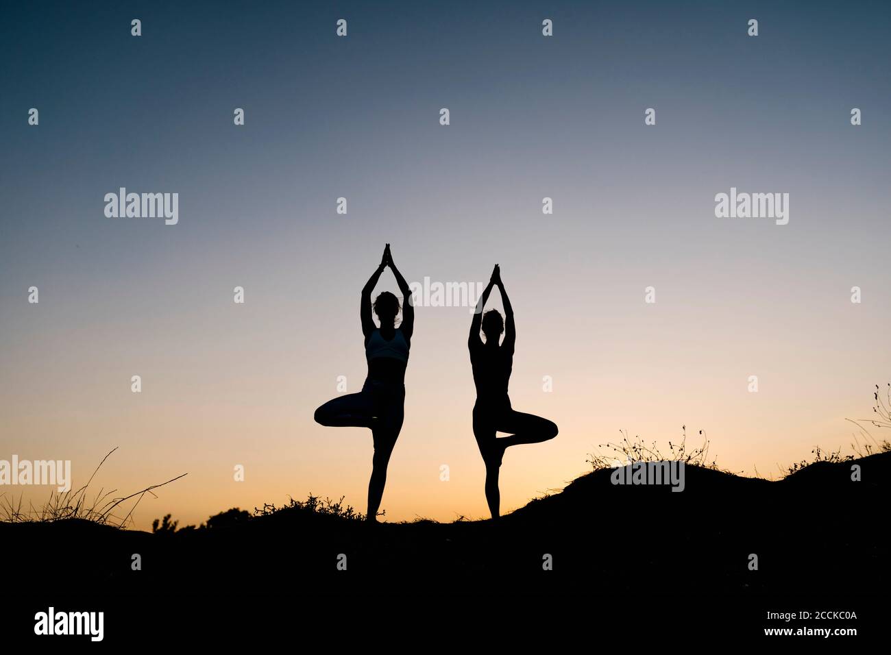 Tree pose silhouette hi-res stock photography and images - Alamy
