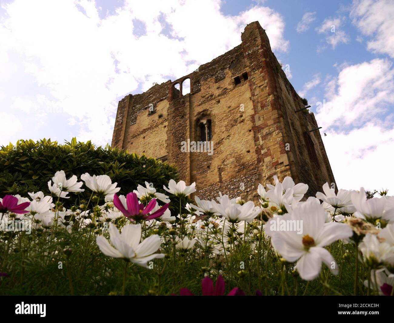 Guildford museum hi-res stock photography and images - Alamy