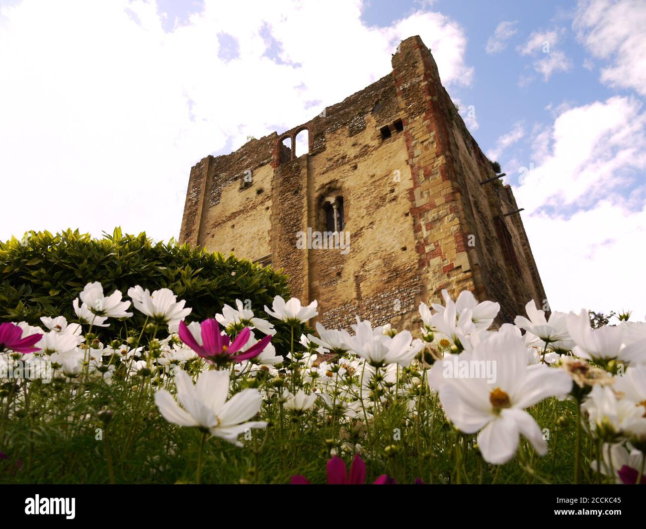 Guildford Castle, Guildford, Surrey, UK Stock Photo - Alamy
