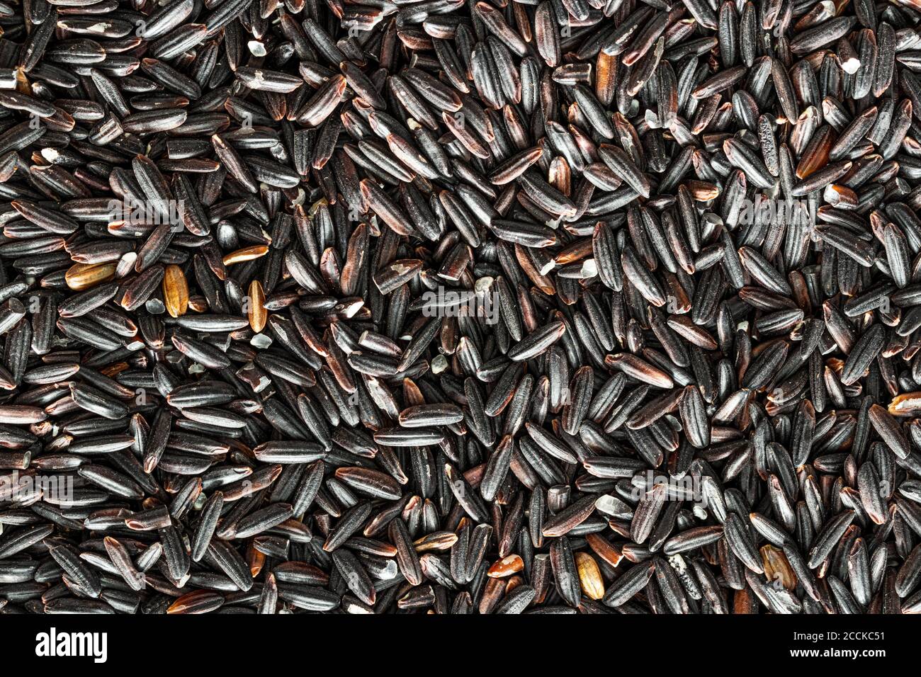 Black wild rice grains background or texture. Gluten-Free and healthy ...