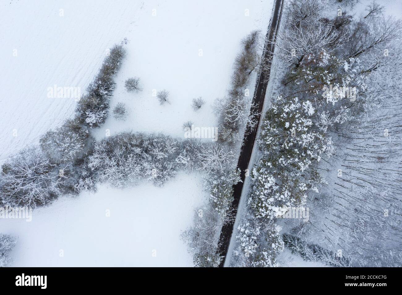 Drone view of asphalt road cutting through snow-covered forest in ...