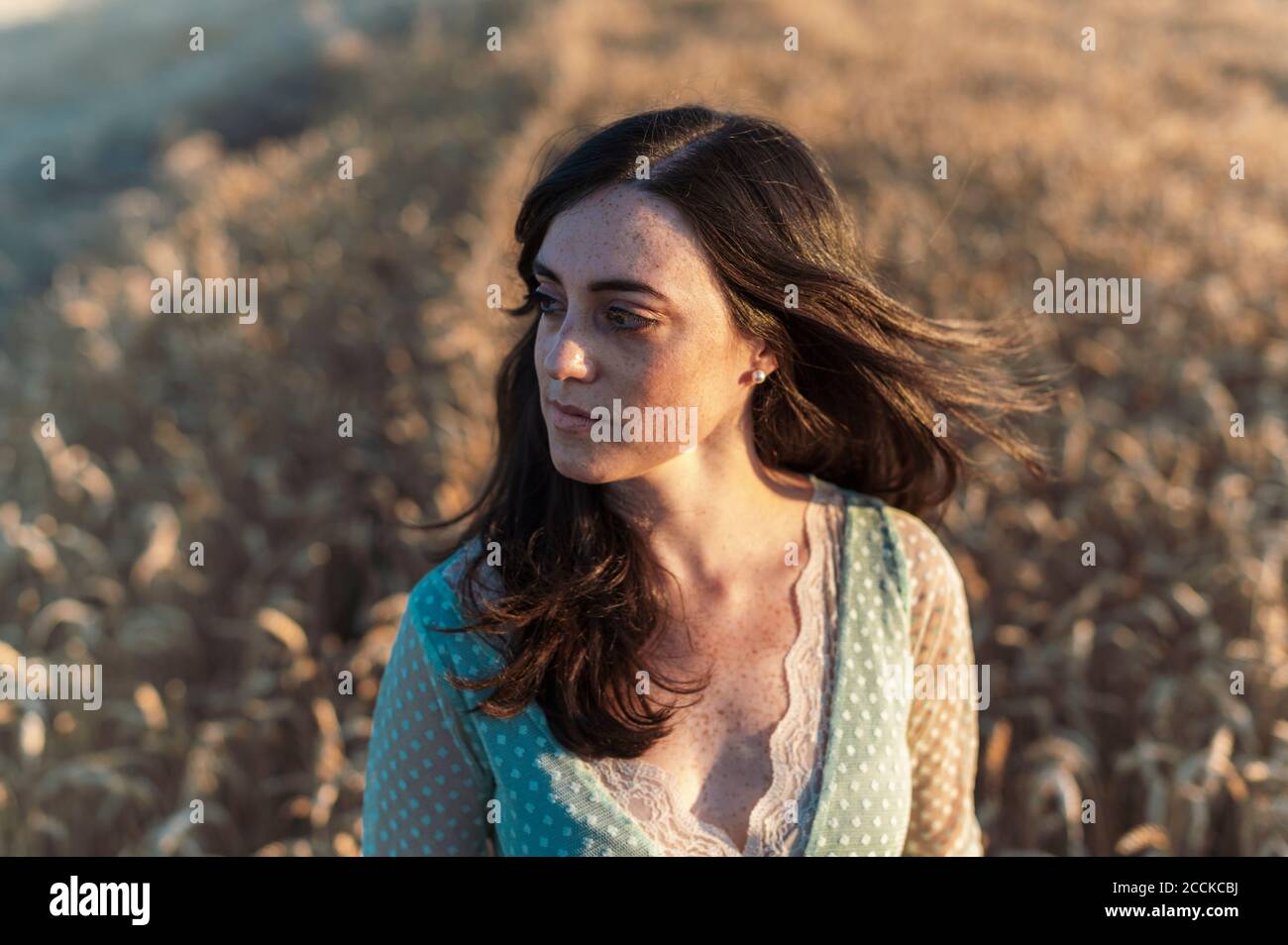 Beautiful farm up view hi-res stock photography and images - Alamy