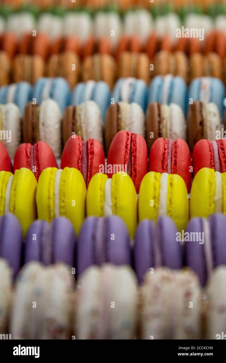 Rows of cookies hi-res stock photography and images - Alamy