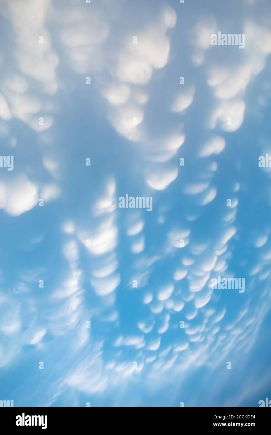 Fluffy appearance hi-res stock photography and images - Alamy