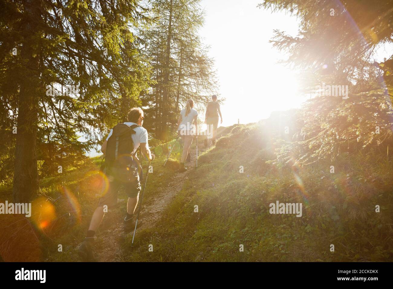 Three friends hiking in the mountains, Achenkirch, Austria Stock Photo ...