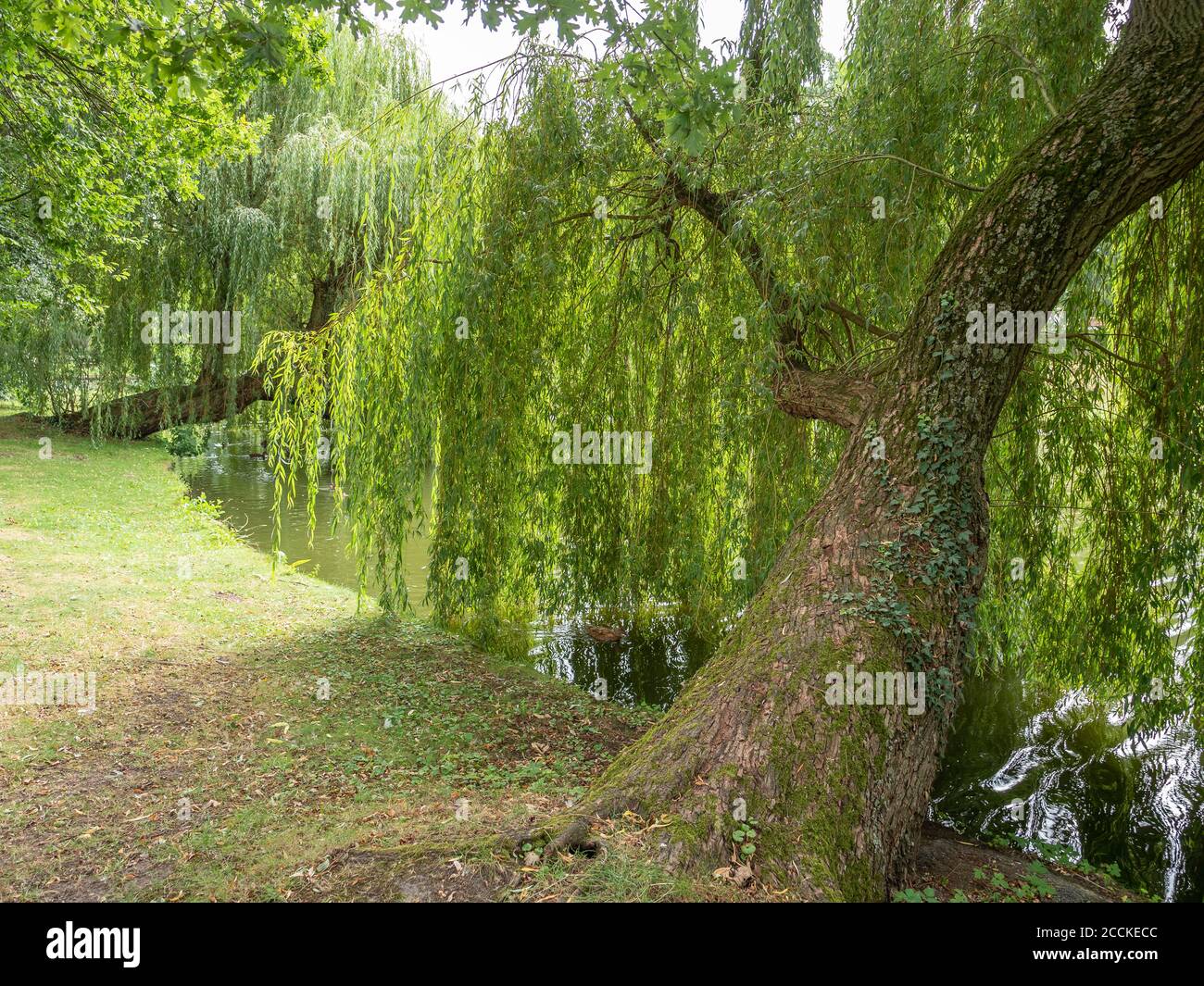 the city of groenlo in the netherlands Stock Photo - Alamy