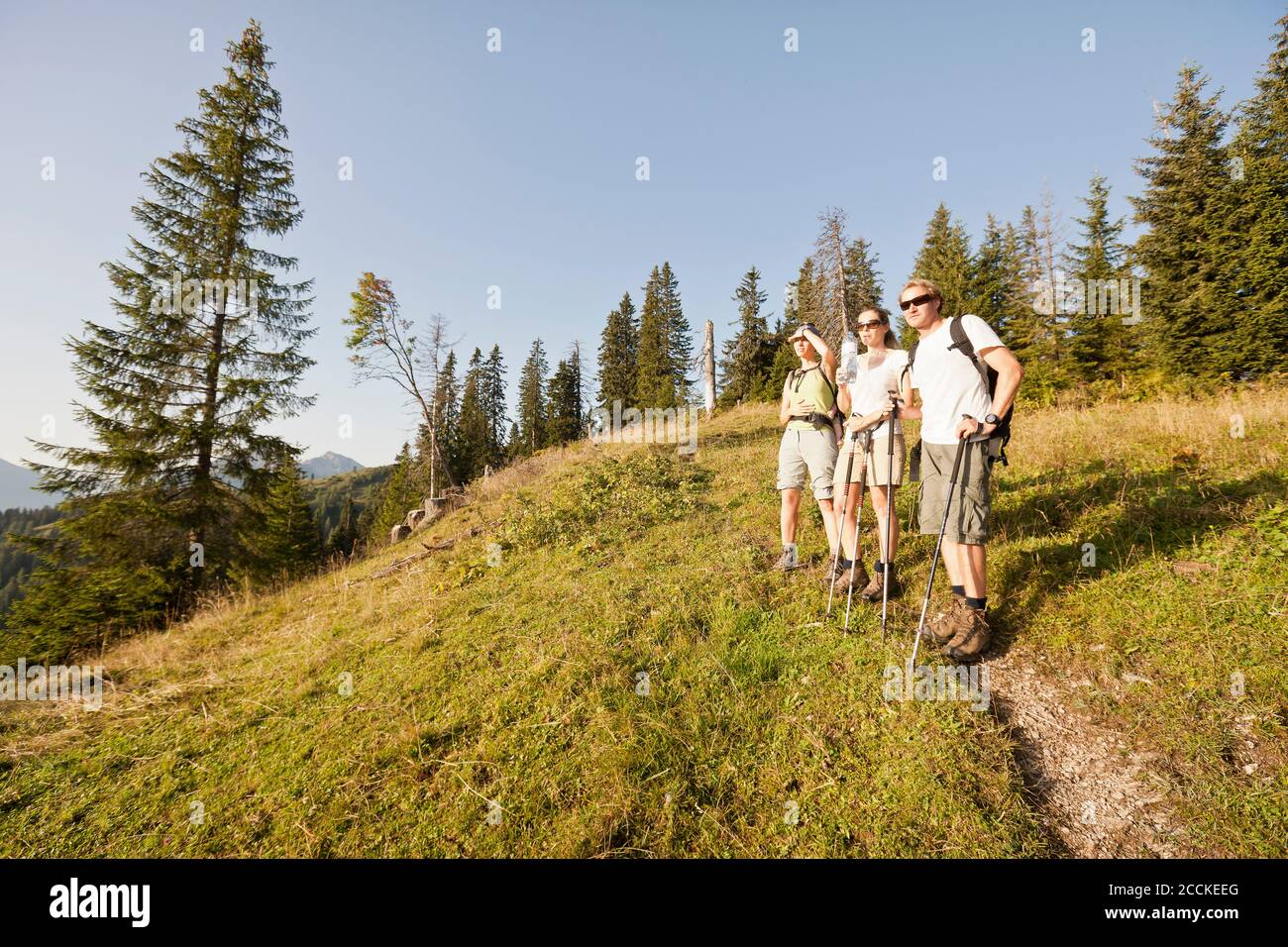 Three friends hiking in the mountains, Achenkirch, Austria Stock Photo ...
