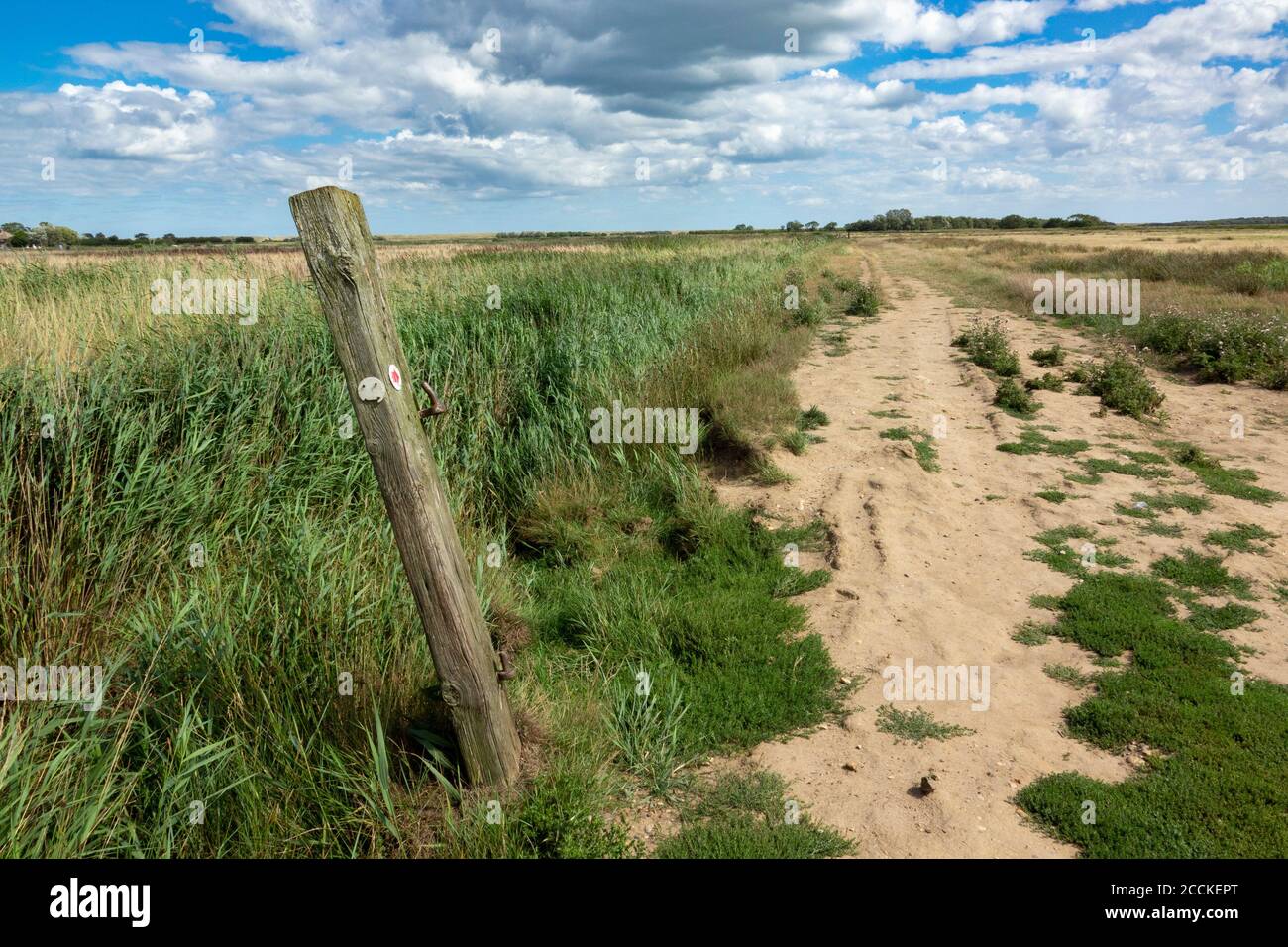 Permissive path hi-res stock photography and images - Alamy