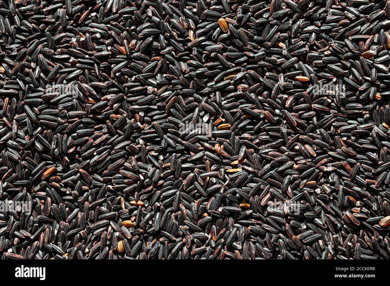 Black wild rice grains background or texture. Gluten-Free and healthy ...
