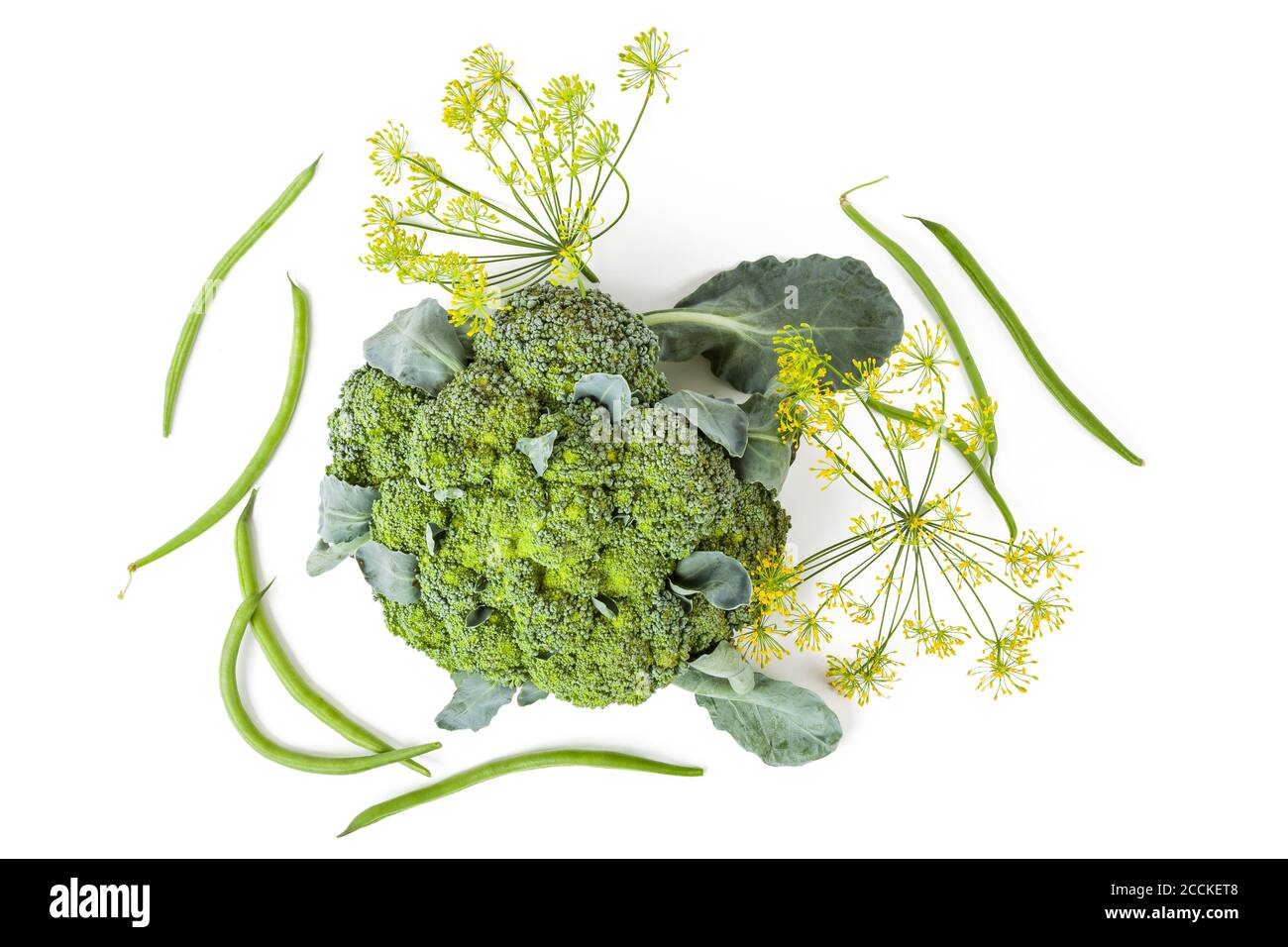 Seeds with umbrellas hi-res stock photography and images - Alamy