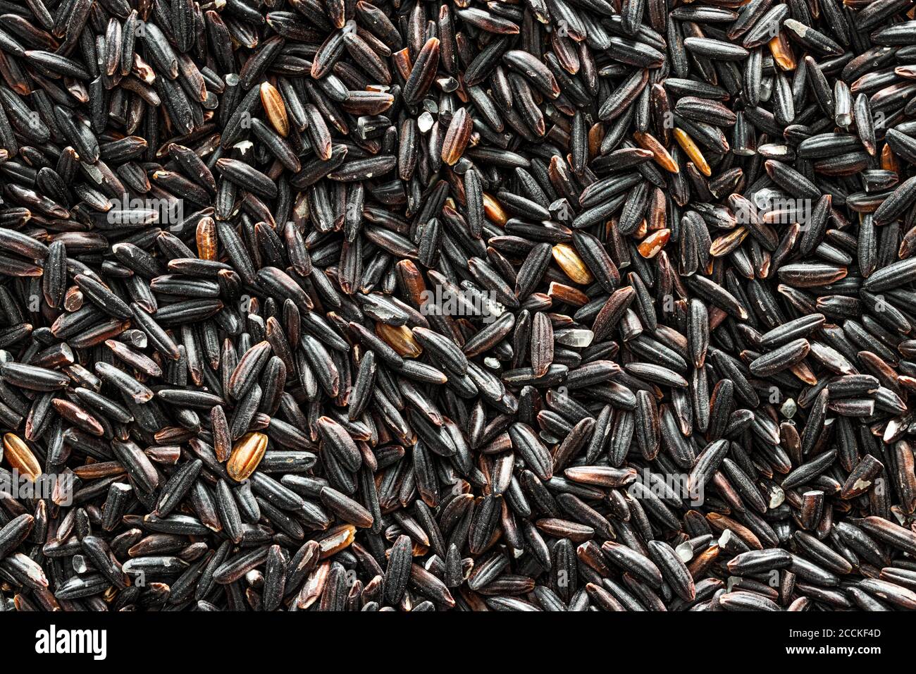 Black wild rice grains background or texture. Gluten-Free and healthy ...