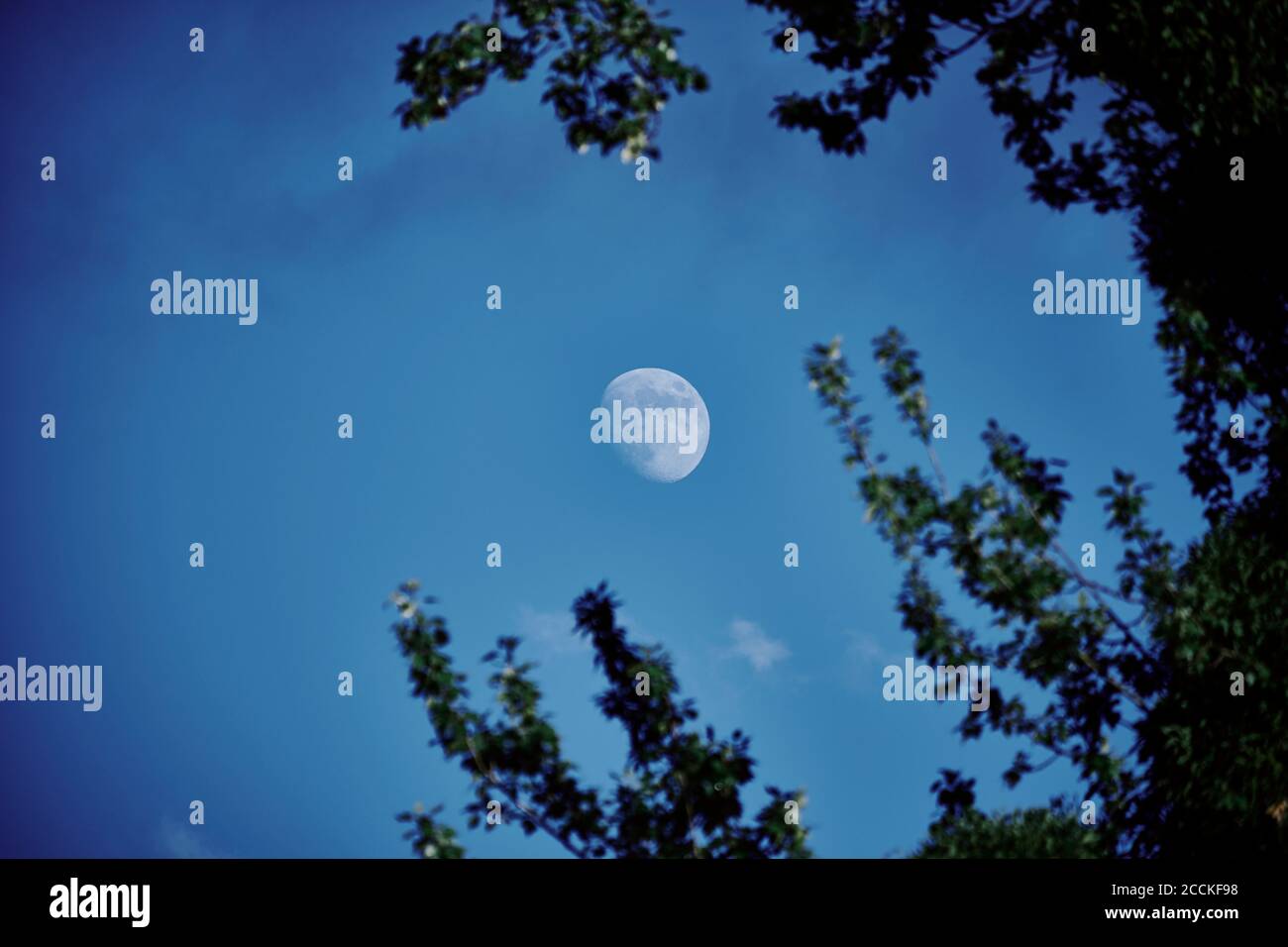 Dusk sky and moon hi-res stock photography and images - Alamy