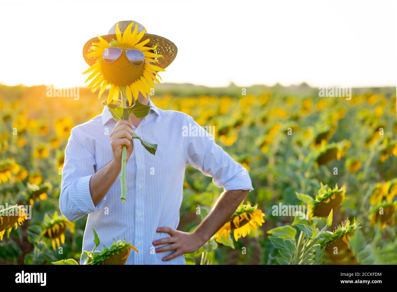Hand holding sunflower hi-res stock photography and images - Alamy