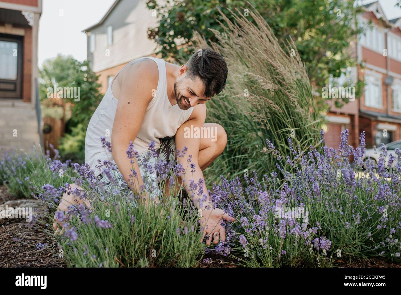 Man gardening in his front lawn Stock Photo - Alamy