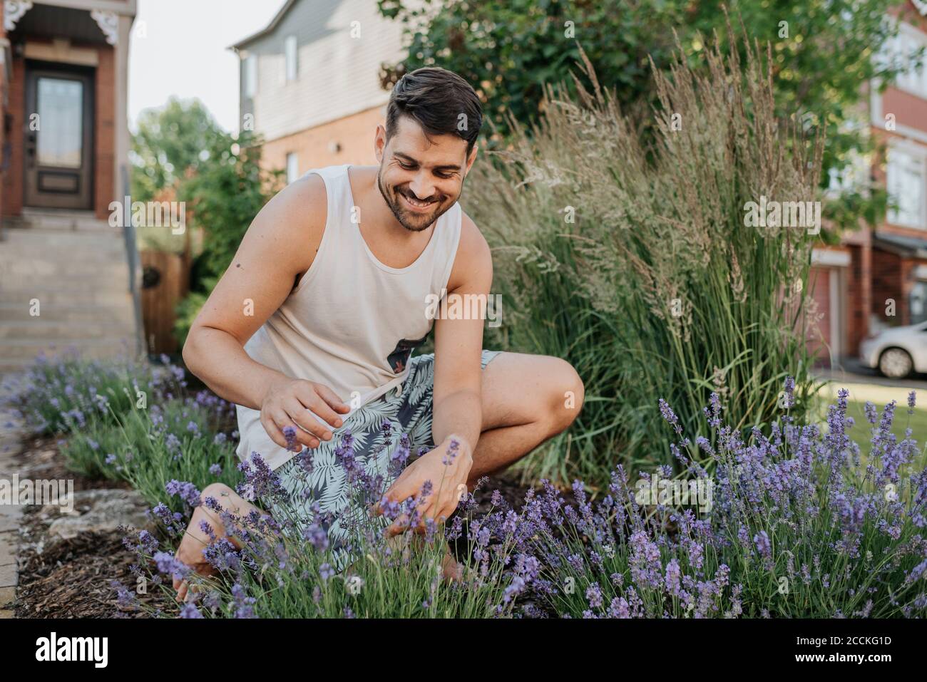 Man gardening in his front lawn Stock Photo - Alamy