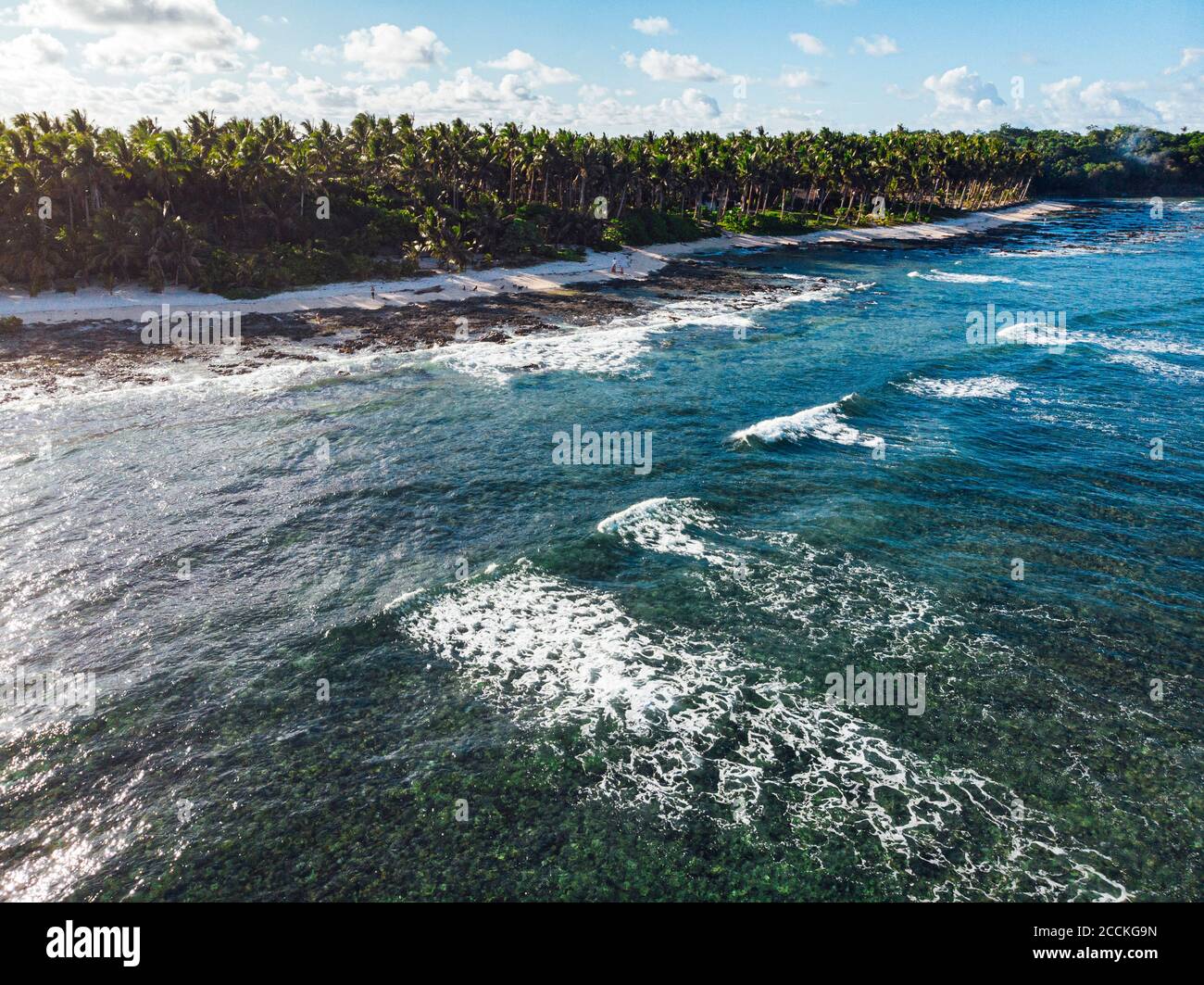 Birds eye view palm trees hi-res stock photography and images - Alamy