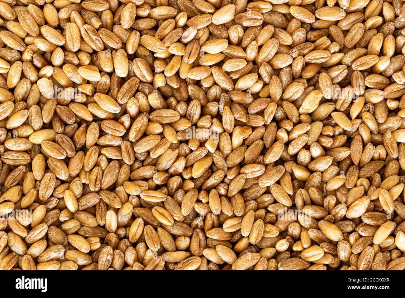Brown wheat grains background or texture. Healthy vegeterian food ...