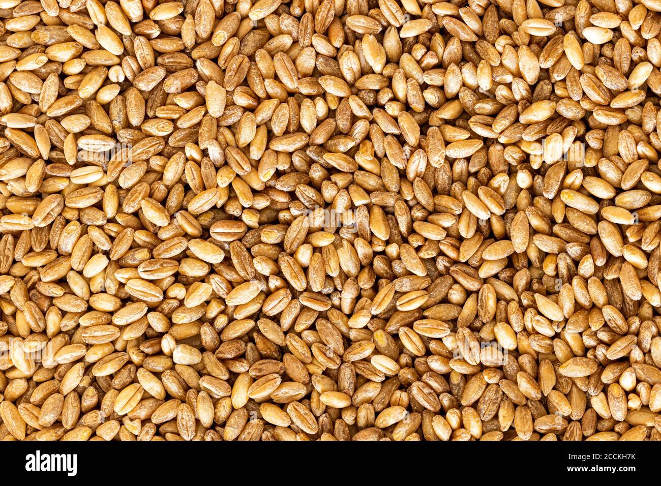 Brown wheat grains background or texture. Healthy vegeterian food ...