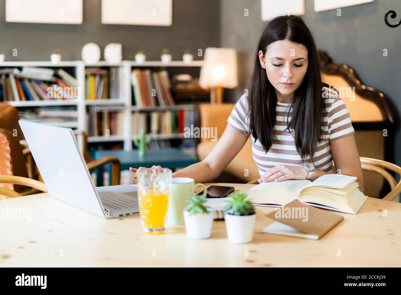 Young woman using laptop while studying in coffee shop Stock Photo - Alamy