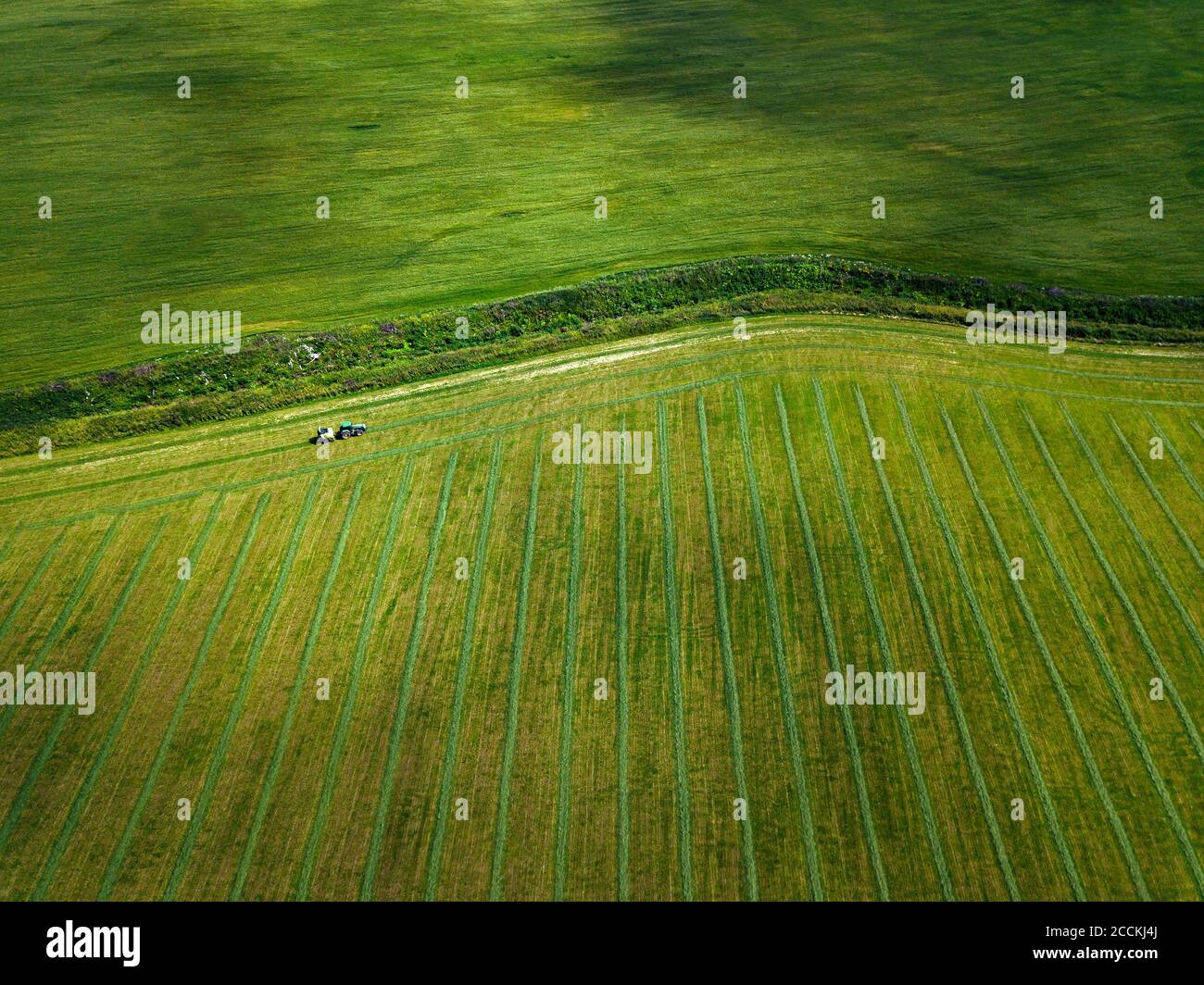 Aerial view of green countryside field Stock Photo - Alamy