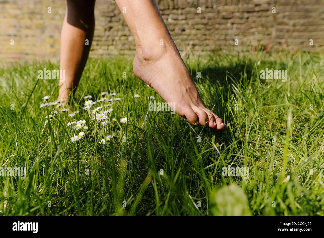 Feet of a woman walking in grass Stock Photo - Alamy