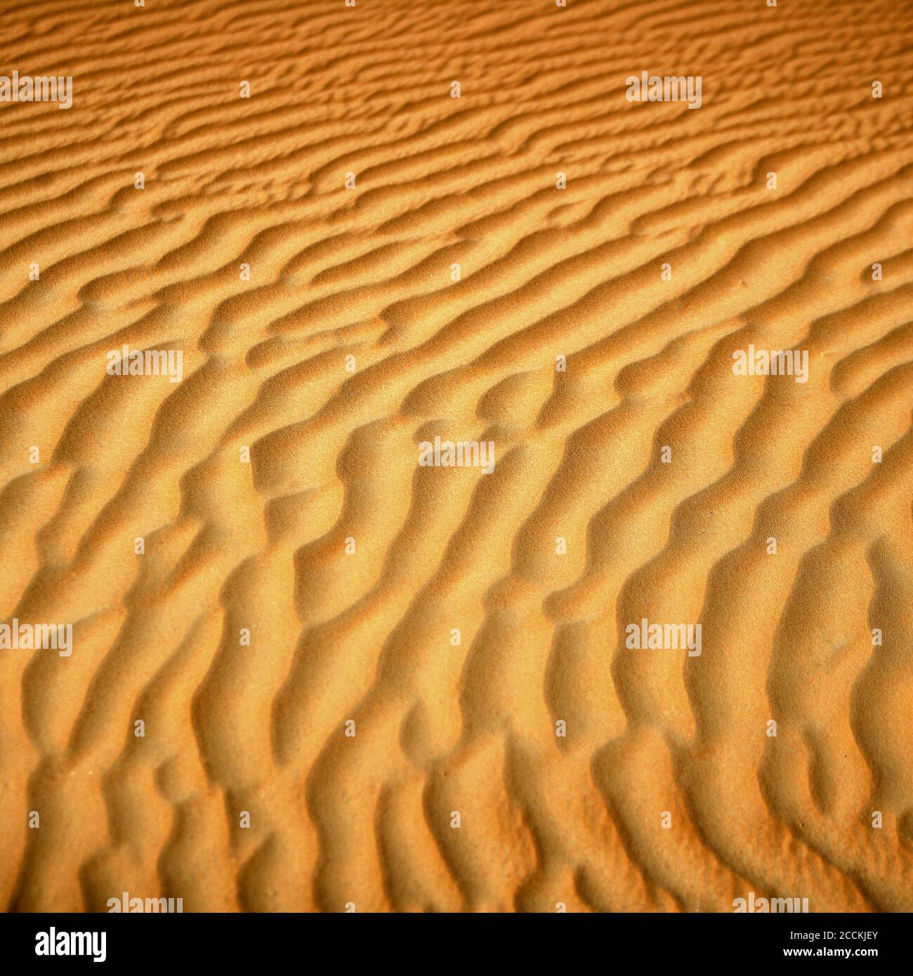 Rippled sand at quarter desert hi-res stock photography and images - Alamy