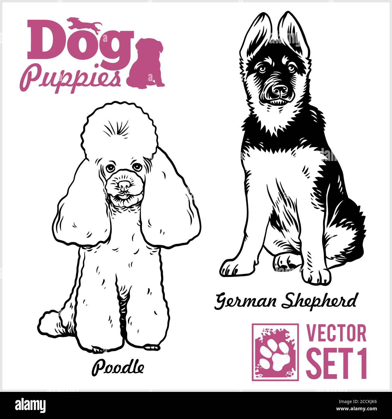 Poodle and German Shepherd - Dog Puppies. Vector set. Funny dogs puppy ...