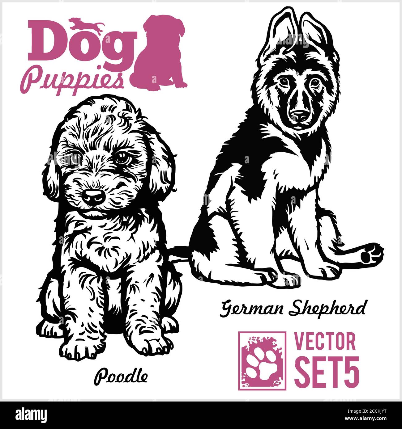 Poodle dog on white Stock Vector Images - Alamy