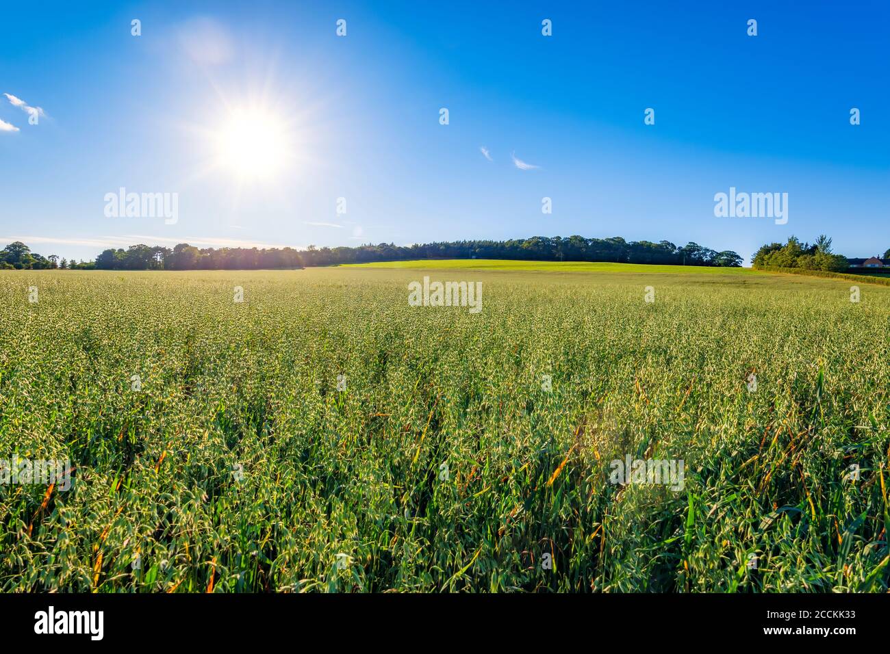 Sun shining over field hi-res stock photography and images - Alamy