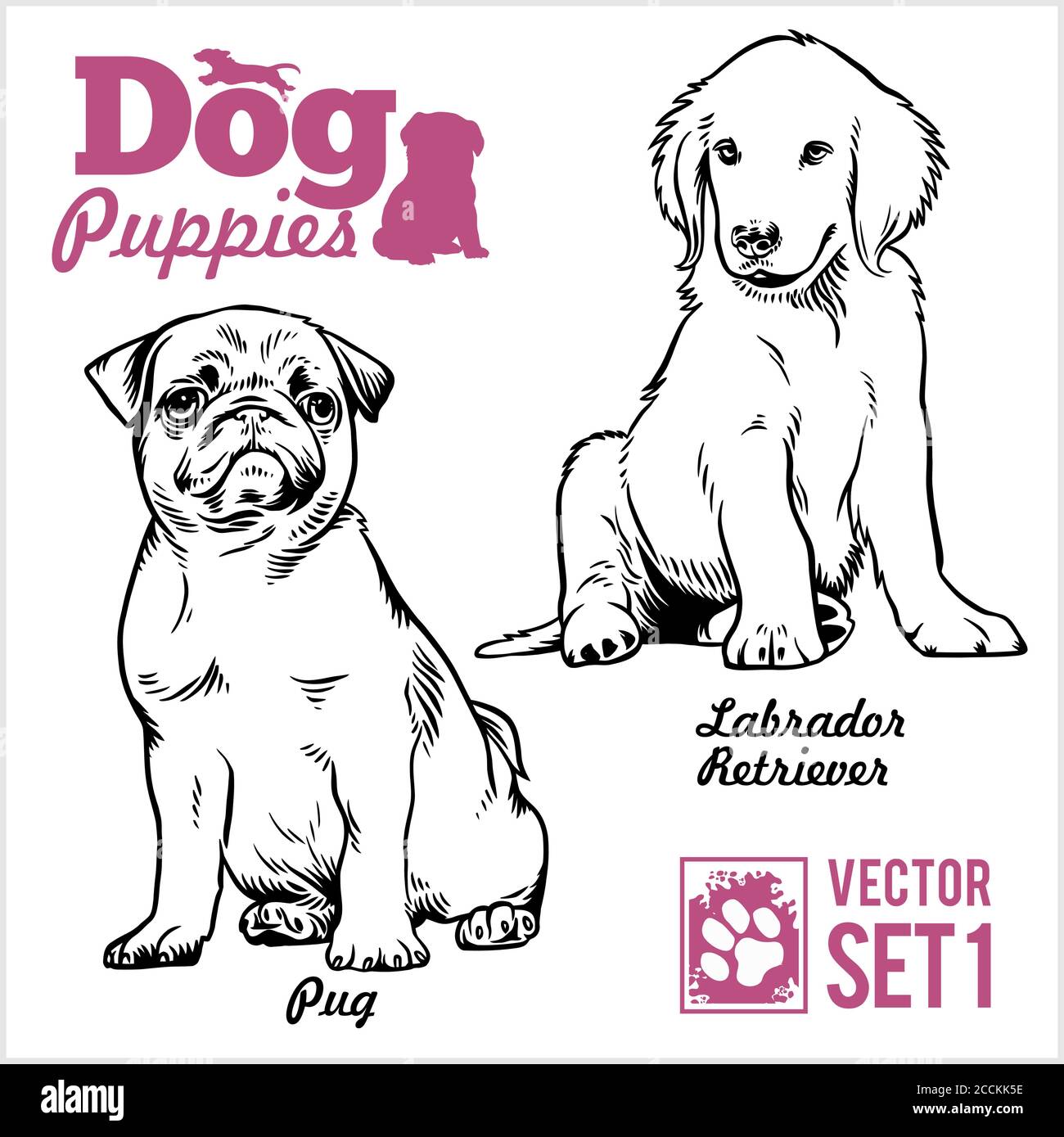Pug and Labrador Retriever - Dog Puppies. Vector set. Funny dogs puppy ...