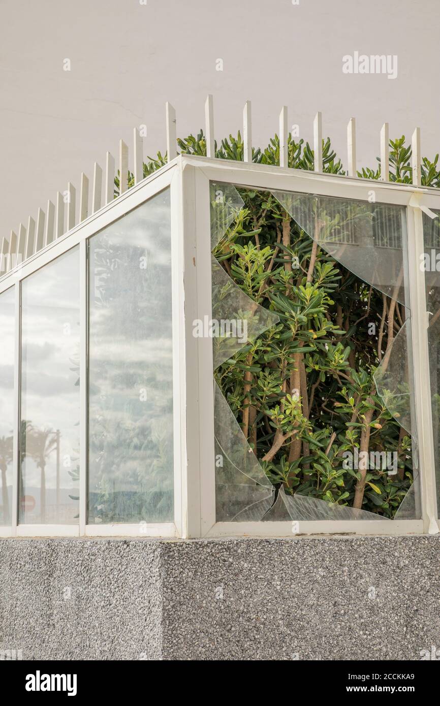 Shattered trees hi-res stock photography and images - Alamy