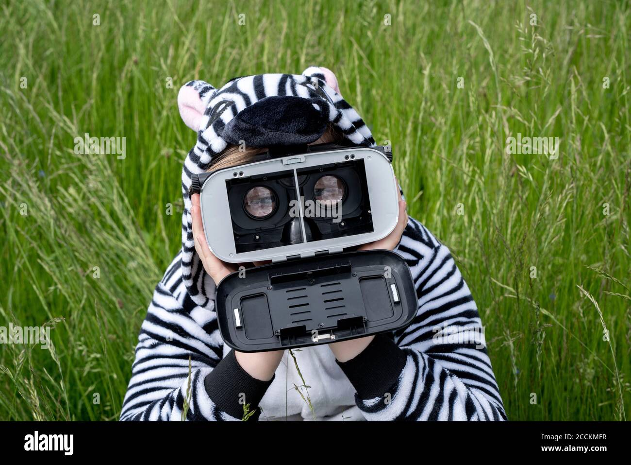 Boy wearing zebra costume using VR simulator while sitting on grass ...