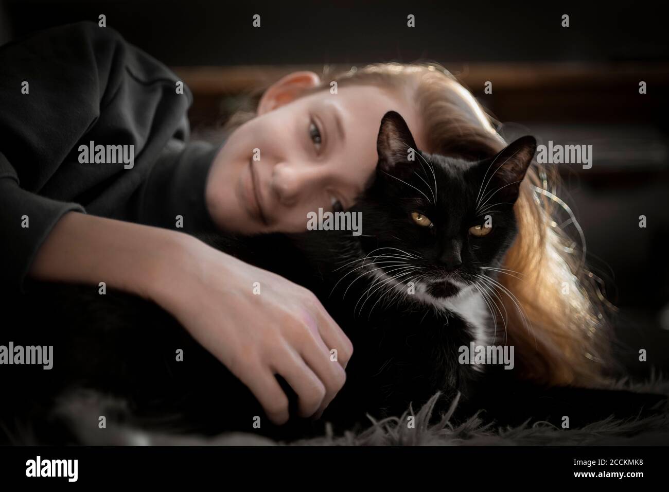 Cat cuddling hi-res stock photography and images - Alamy