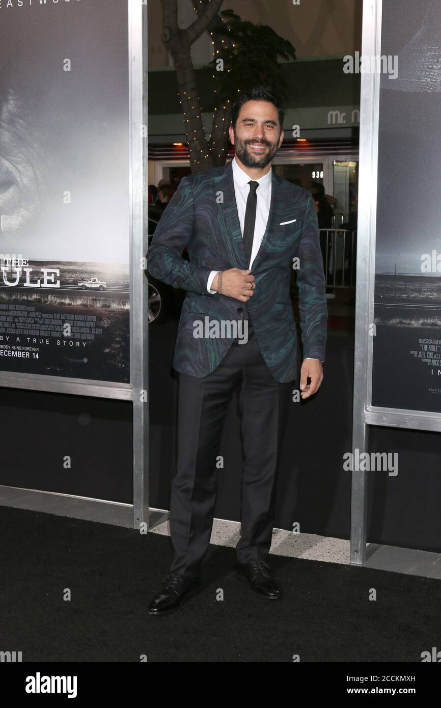 LOS ANGELES - DEC 10: Ignacio Serricchio at the The Mule World Premiere ...
