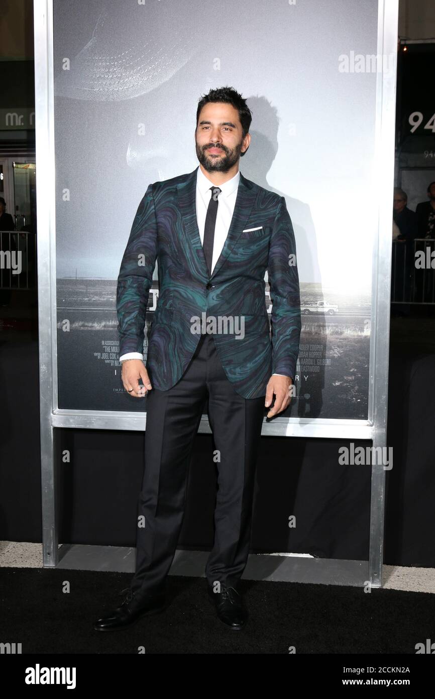 LOS ANGELES - DEC 10: Ignacio Serricchio at the The Mule World Premiere ...
