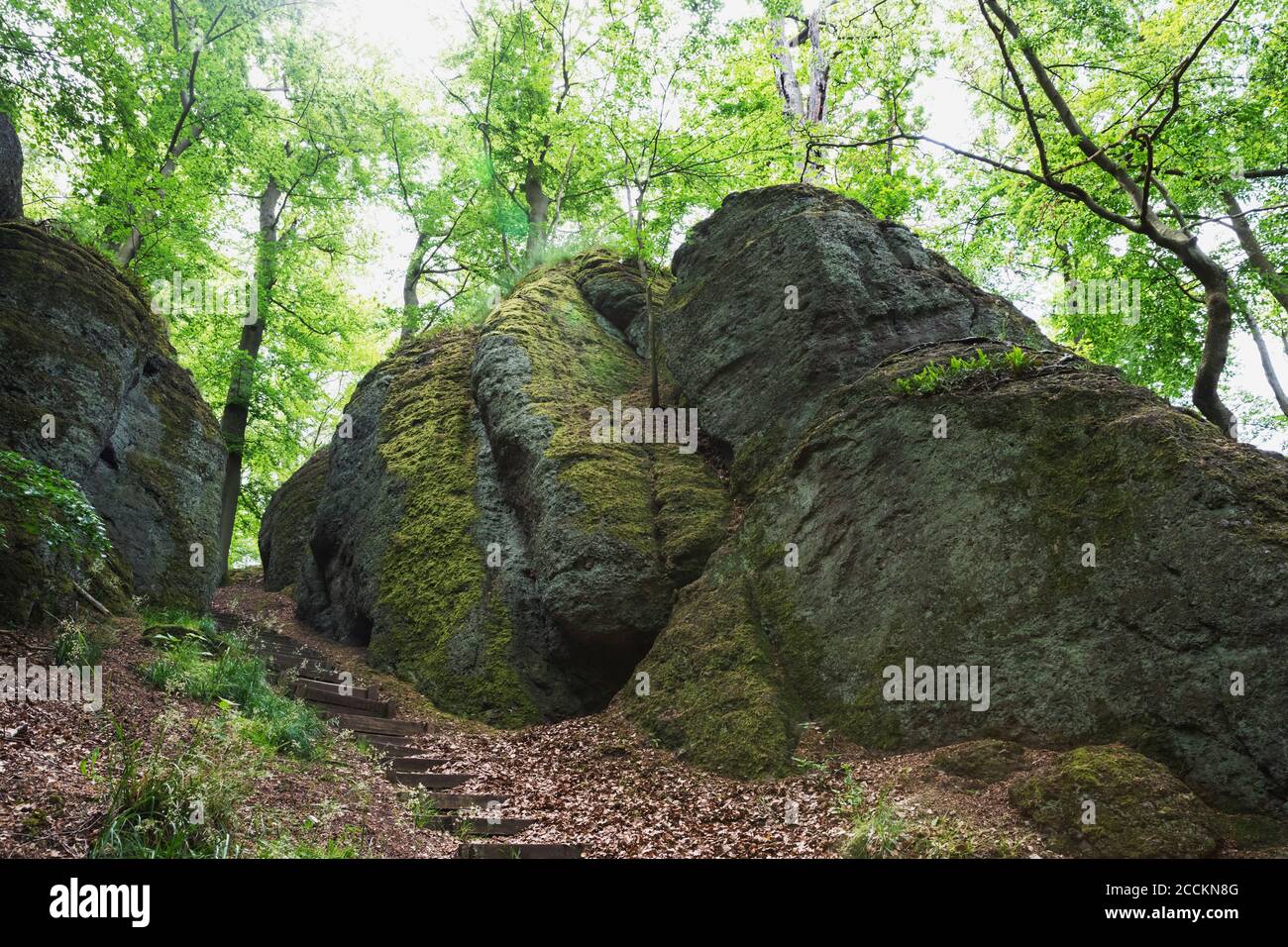 Rock formations forest hi-res stock photography and images - Alamy