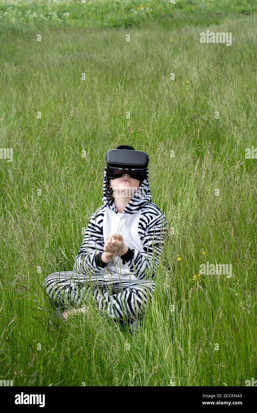 Boy in zebra costume using VR simulator while sitting on grass Stock ...