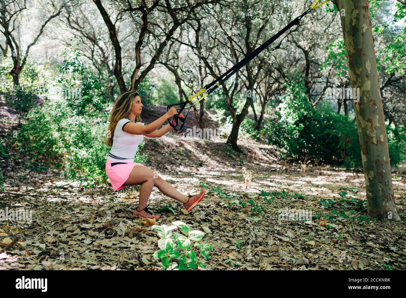 Tree straps hi-res stock photography and images - Alamy