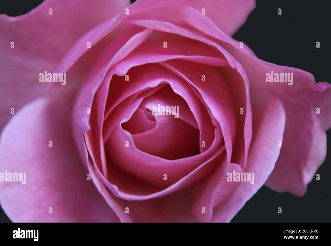 Naturespring High Resolution Stock Photography and Images - Alamy