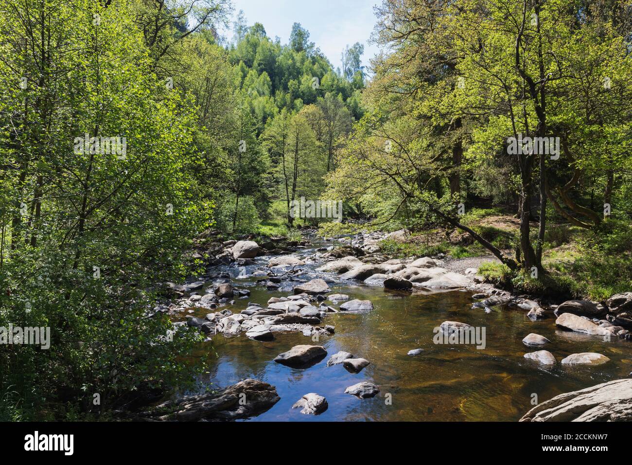 Eifel national park hi-res stock photography and images - Alamy