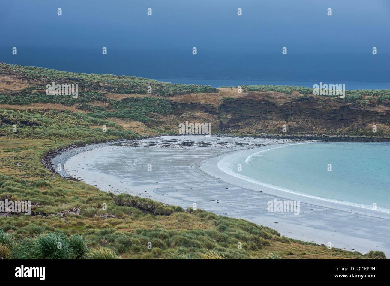 UK, Falkland Islands, Bay of Carcass Island Stock Photo - Alamy
