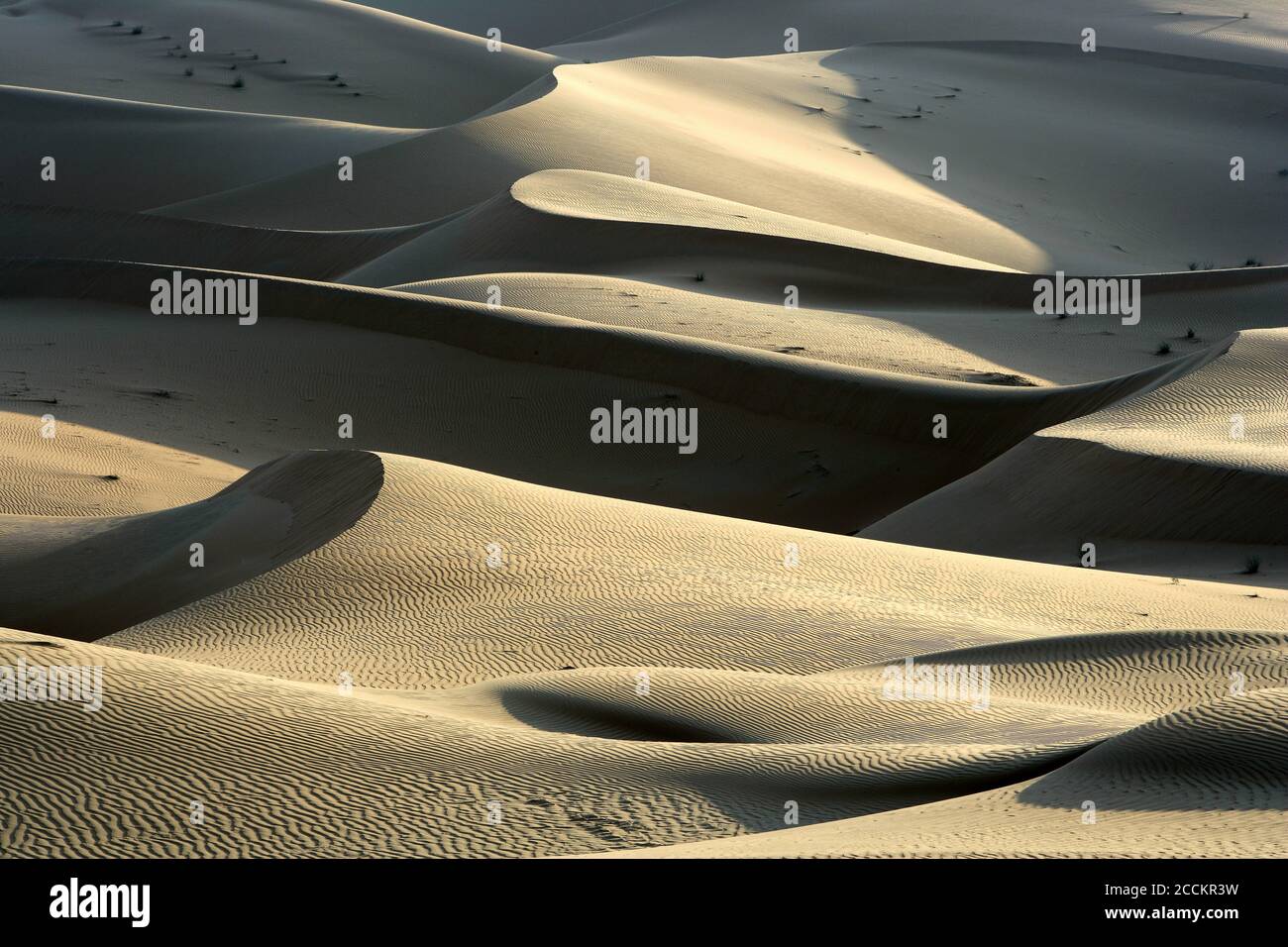 United arab emirate desert hi-res stock photography and images - Alamy