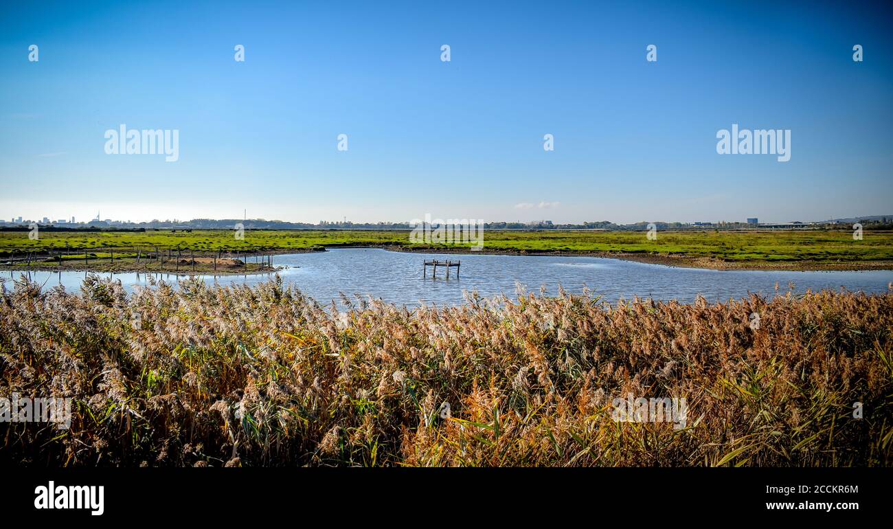 Waterways of Leintwardine, Shropshire. In Midsummer time Stock Photo ...