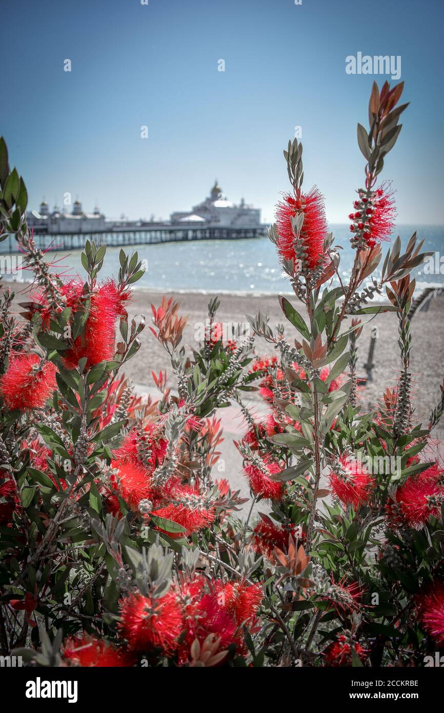 To see the sea Stock Photo - Alamy