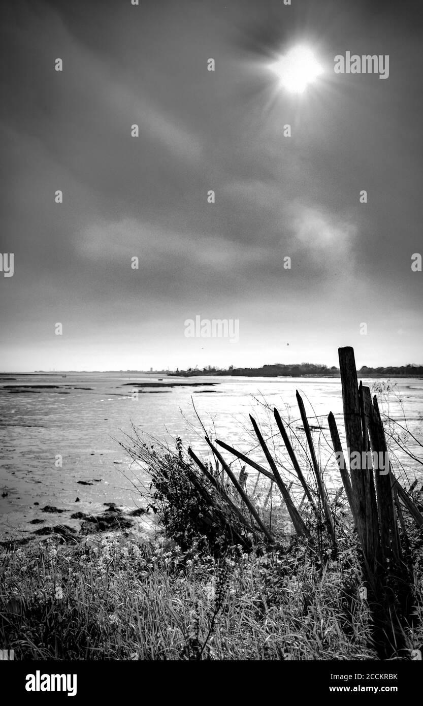 To see the sea Stock Photo - Alamy