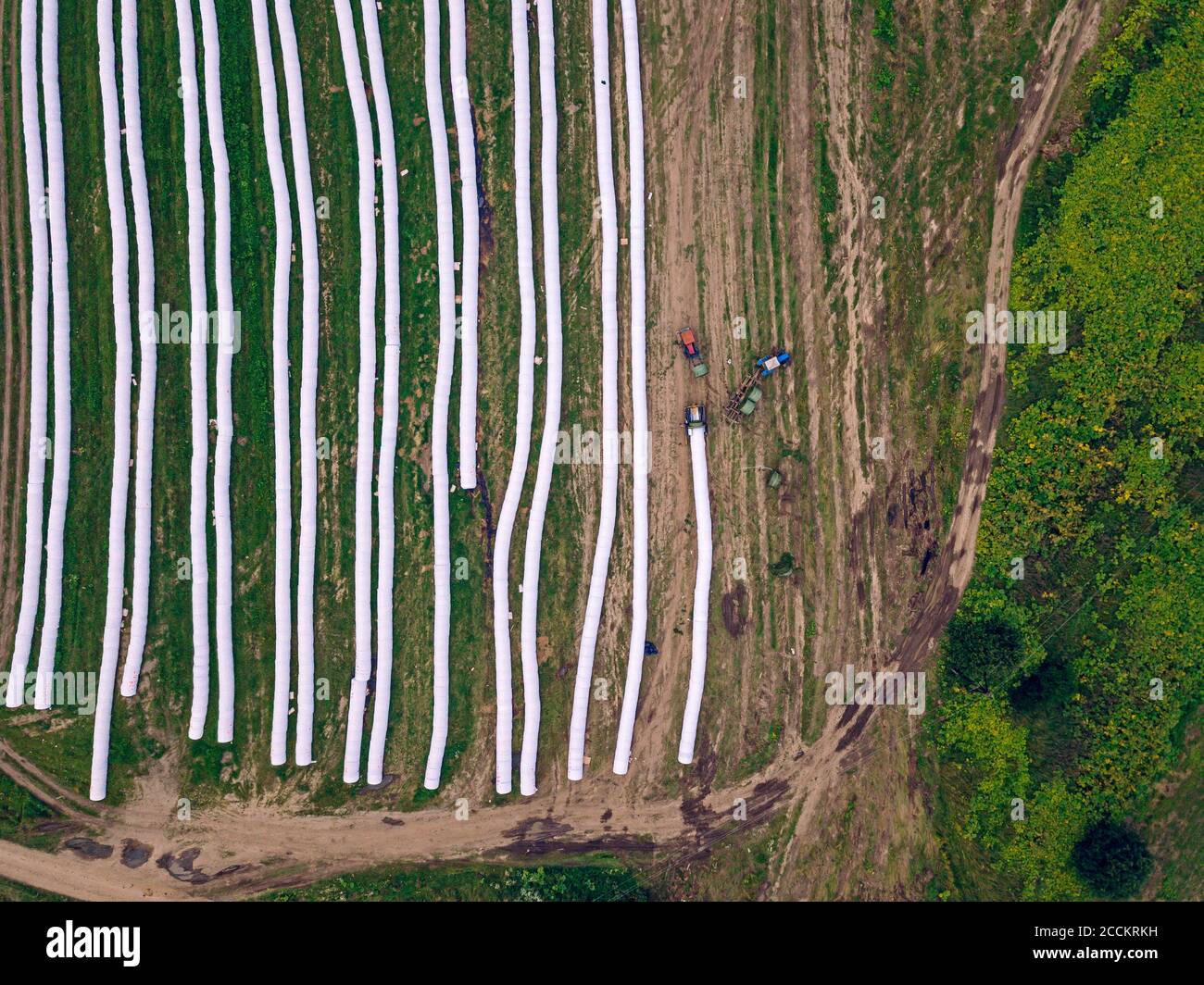Drying hay bales hi-res stock photography and images - Alamy