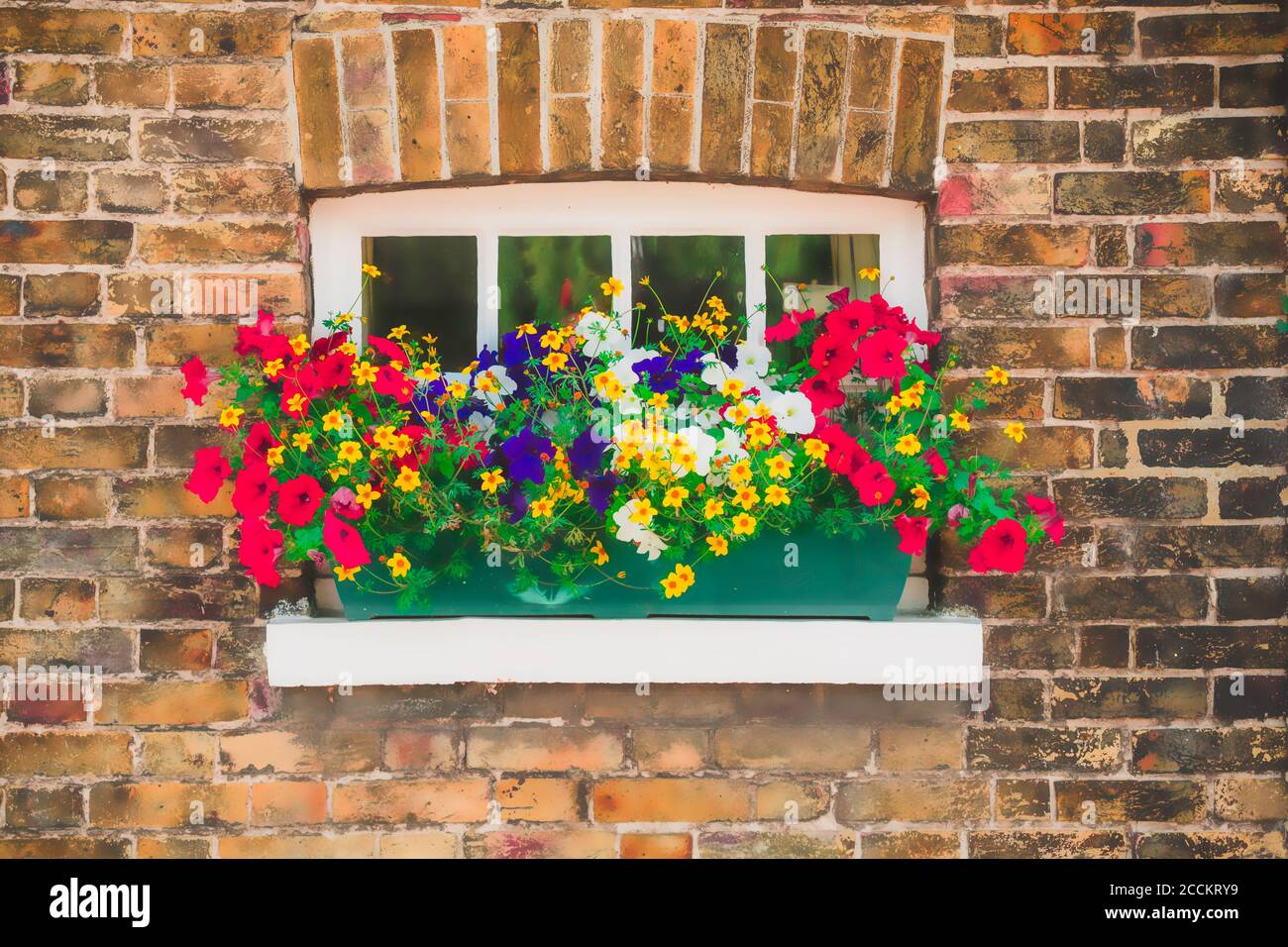 Summer flowers on the window Stock Photo - Alamy