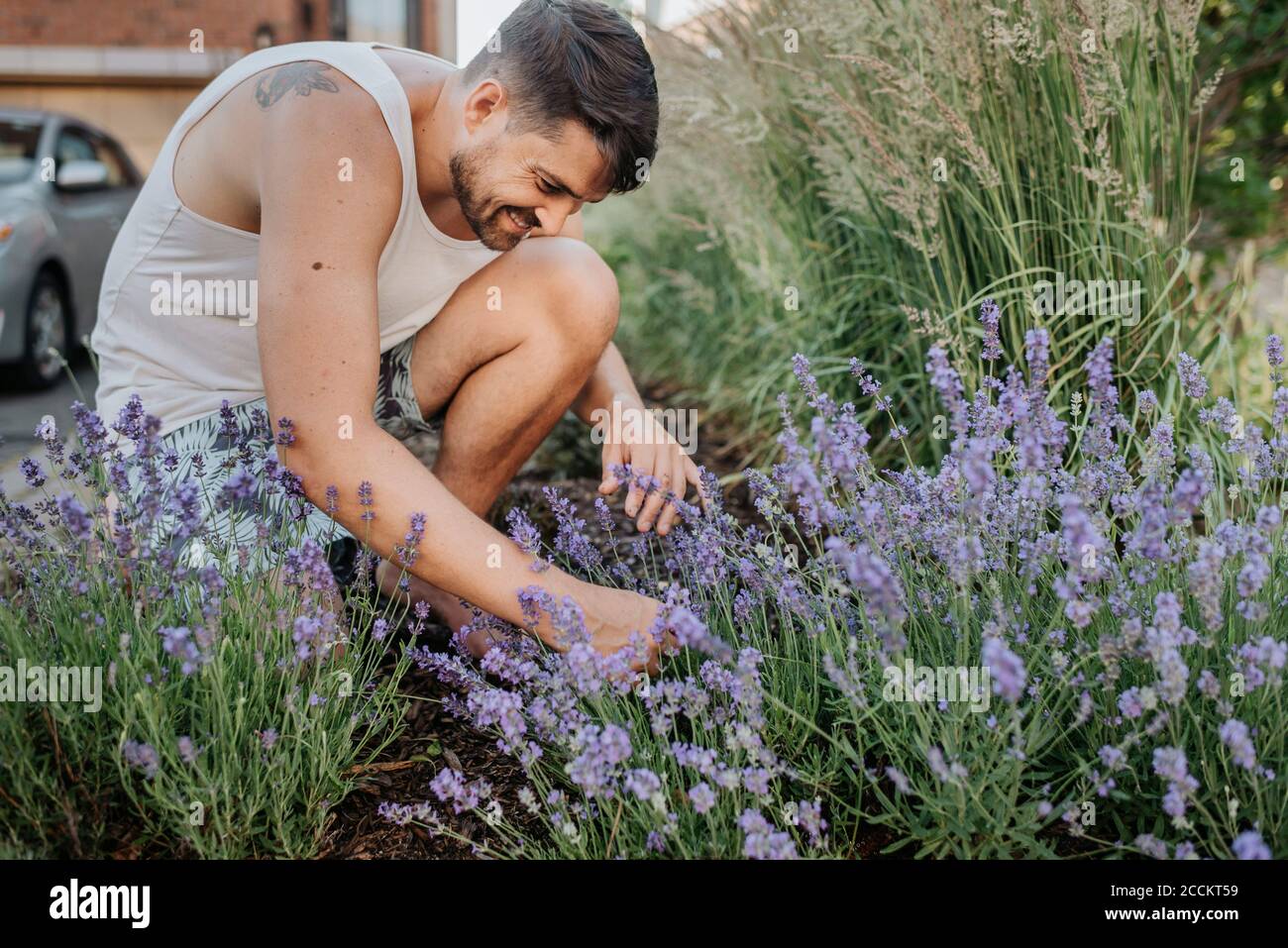 Man gardening in his front lawn Stock Photo - Alamy